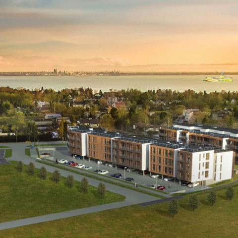 Soodsad jõulukuused, nulud, jõulupuud ja tarvikud